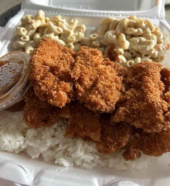 Golden chicken katsu sits crispy and proud, ready to deliver that satisfying crunch followed by tender, juicy perfection inside.