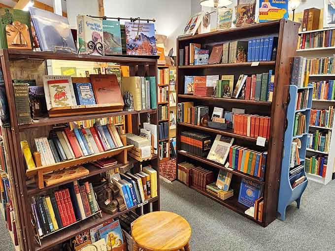 Shelves of vintage books waiting to be rediscovered, because some stories never go out of style.