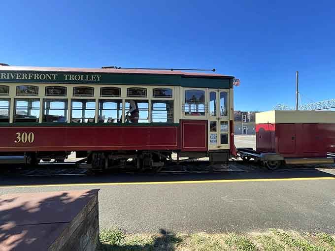 Car number 300 gleaming in the sunshine, proving vintage never goes out of style.