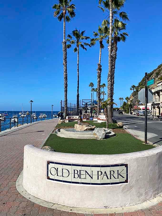 Old Ben Park sits waterfront, offering benches for contemplation and views that make forgetting your troubles remarkably easy.
