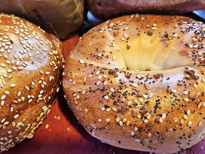 Look at that sesame and everything bagel combo&mdash;golden, generously topped, and exactly what bagel dreams are made of.