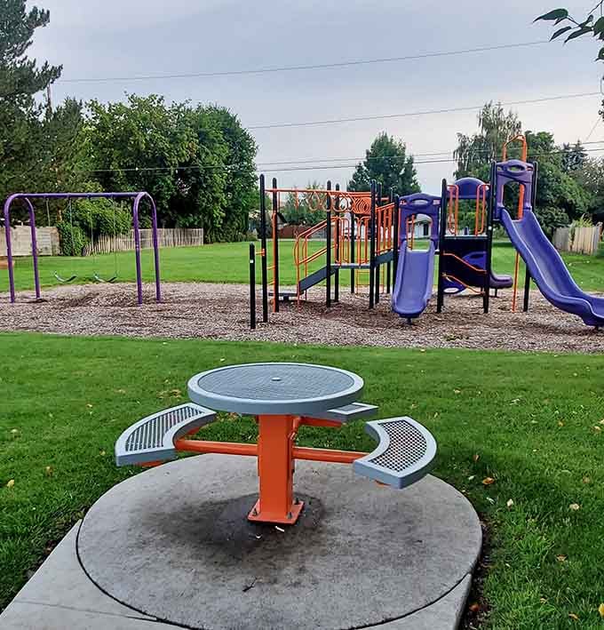 Modern playgrounds meet classic park vibes, giving kids somewhere to burn energy while parents contemplate their budget surplus.