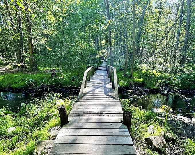 Another charming bridge beckons you deeper into the woods where your phone signal can't find you.