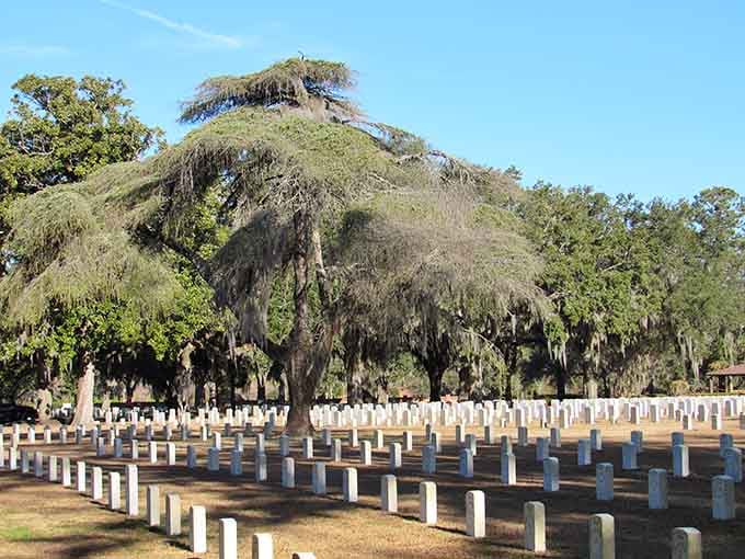 Spanish moss drapes over the cemetery like nature's own memorial, creating a scene both haunting and strangely peaceful.
