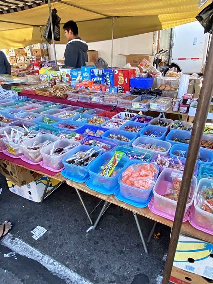 Candy bins organized with military precision make choosing your sugar fix delightfully overwhelming in the best possible way.