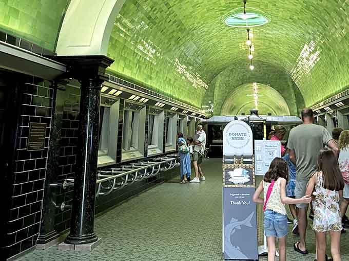 Families discovering that the best adventures don't require passports, just a short drive and an open mind about fish.