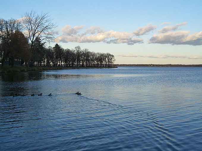 Ducks glide across Lake Bemidji's calm waters while you contemplate how much money you're saving on rent.
