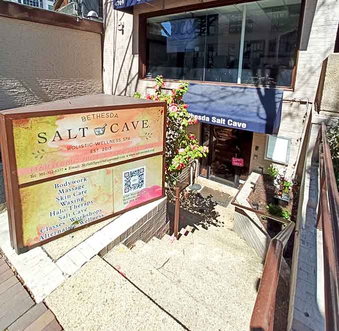 Finding this holistic wellness spa tucked below street level feels like discovering a secret portal to relaxation in downtown Bethesda.