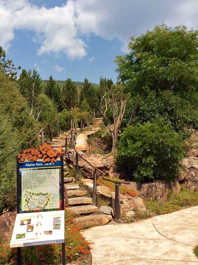 These stone steps lead upward through the Alpine Rock Garden, where tiny plants pack more punch than their size suggests.