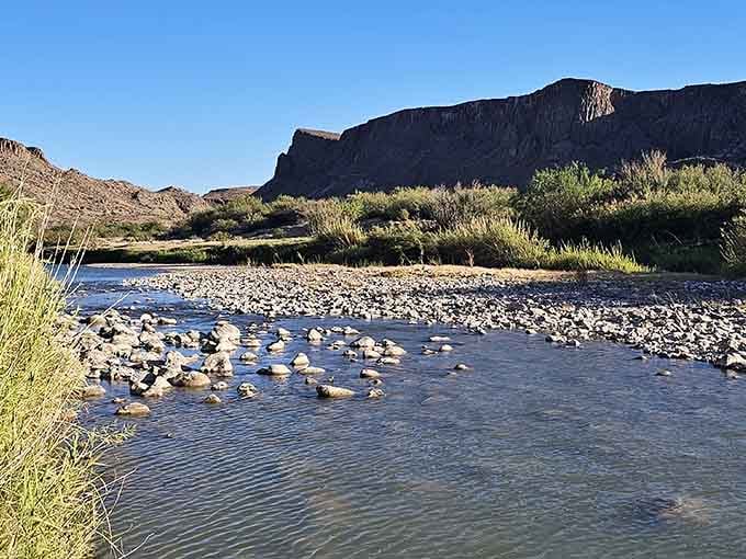The Rio Grande meanders peacefully here, offering a green ribbon of life through the Chihuahuan Desert landscape.