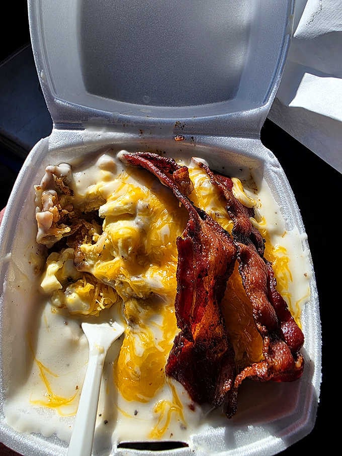 Bacon, eggs, and melted cheese in a styrofoam container: proof that happiness doesn't require fancy plating or pretension.