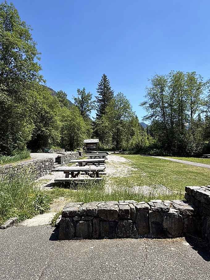 The picnic area offers mountain views that'll make your packed lunch taste like a five-star meal somehow.