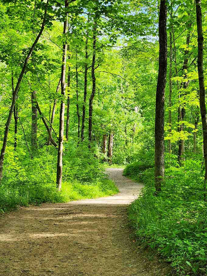 Every trail needs a proper entrance, and this tree-lined path knows how to make an impression.