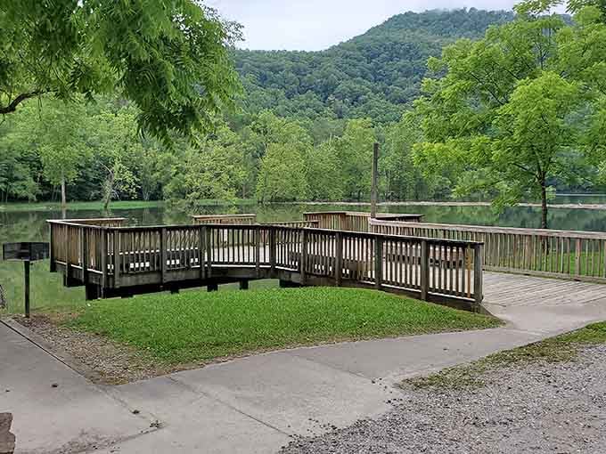 A wooden bridge over calm water, because sometimes the journey matters more than the Instagram post.