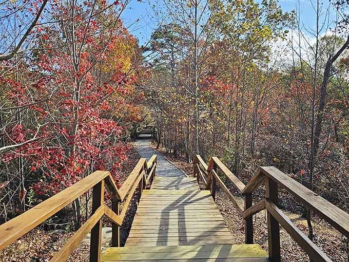 This boardwalk through autumn color makes you feel like you're walking through a Bob Ross painting come to life.