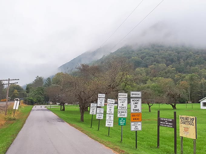 Even the road signs can't distract from those fog-kissed mountains doing their mysterious morning thing back there.