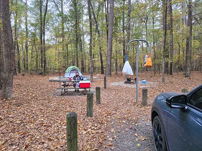 Campsites nestled among towering pines offer the perfect blend of wilderness adventure and creature comforts nearby.
