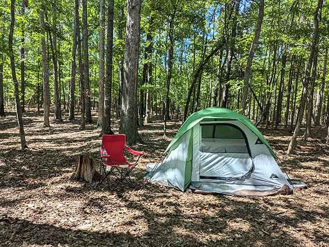 Your tent setup might look humble, but that forest canopy overhead is pure five-star luxury nature intended.