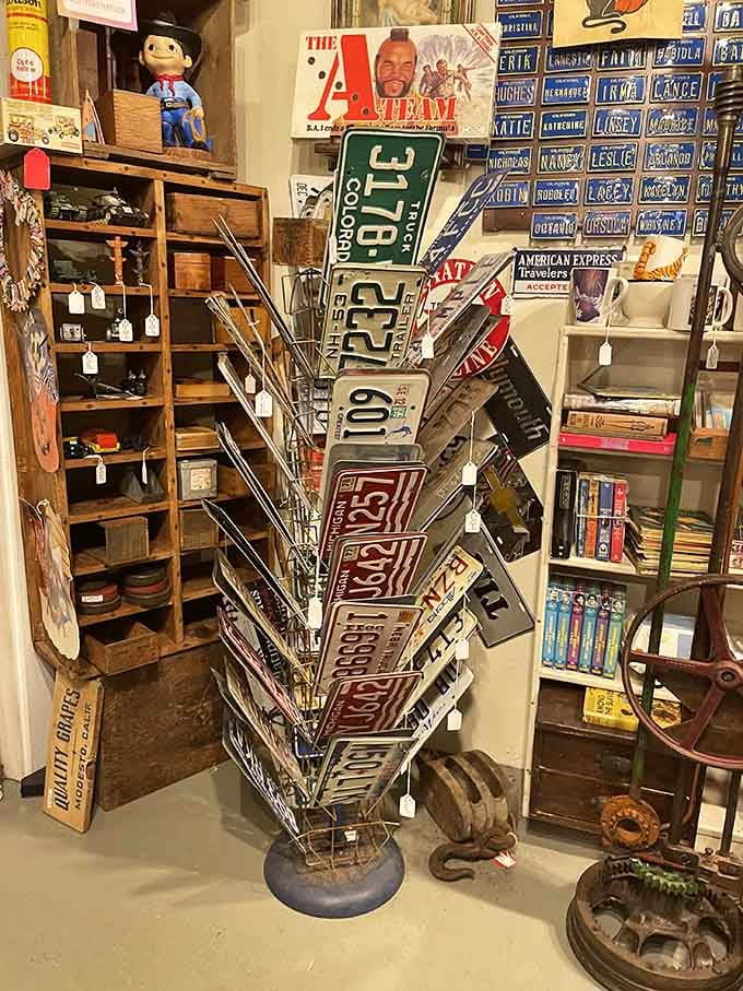 License plates from across America create a roadside attraction right here indoors, perfect for the garage you're always planning.