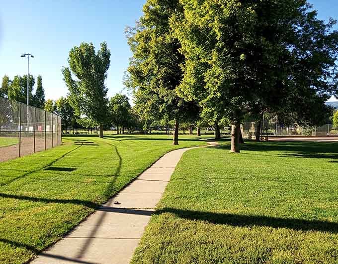 Tree-lined paths wind through parks where morning walks become meditation sessions with better scenery than any gym.