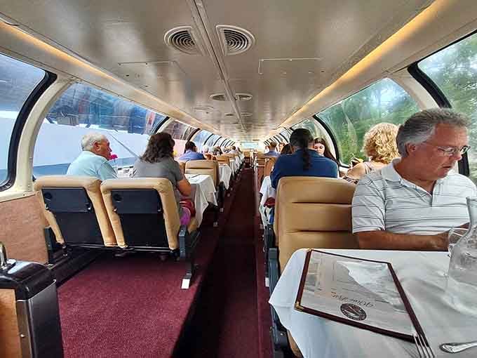 Those panoramic dome windows turn every passenger into a front-row spectator of Cape Cod's greatest show.