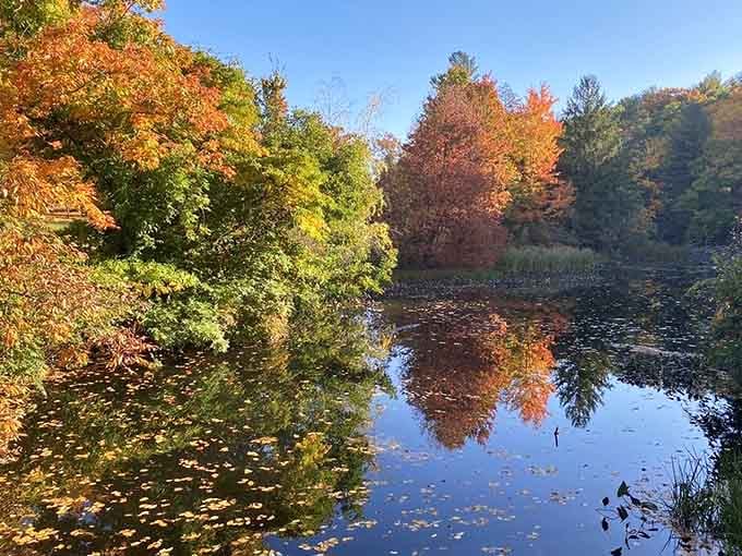 Autumn's reflection doubles the color show, turning this quiet pond into nature's own kaleidoscope.