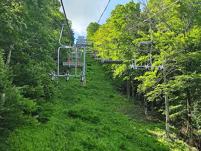 Summer chairlifts climb through green mountains, offering views that make the ride up worth the trip itself.