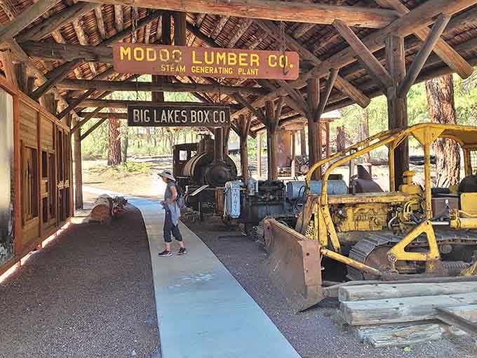 Mouloc Lumber Company's steam plant still impresses visitors with its industrial-age engineering prowess and power.