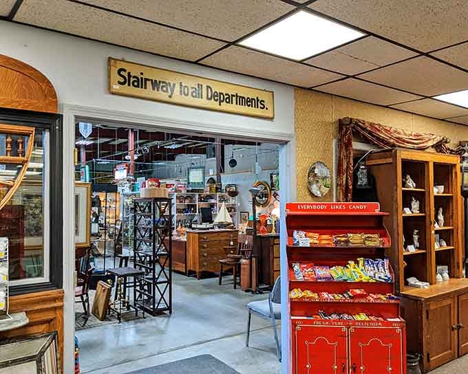 Those soaring ceilings and industrial bones give you room to breathe while you hunt for hidden gems.