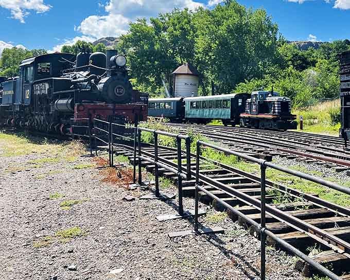 Multiple tracks mean multiple possibilities for watching these magnificent machines roll past in vintage glory.