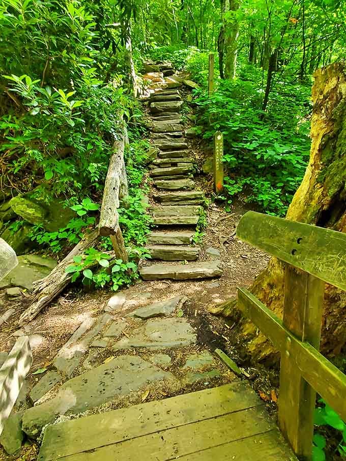 These stone steps lead upward through greenery so lush it makes your houseplants look deeply ashamed of themselves.