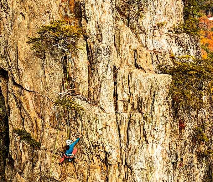 Rock climbers dangle from vertical cliffs while you wisely chose the walking trail, proving intelligence comes in many forms.