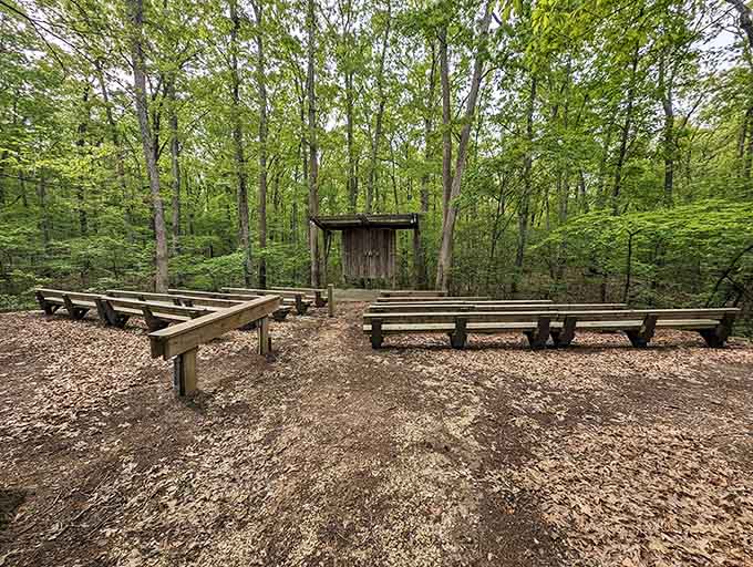An outdoor amphitheater where the trees provide better acoustics than most concert halls you've paid good money for.