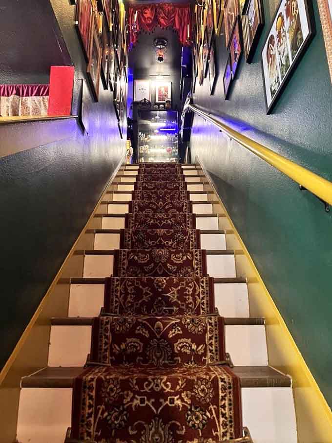 This staircase leads to more curiosities upstairs, because one floor of oddities simply wasn't enough space.