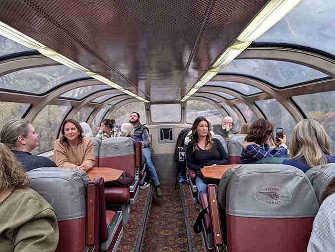 Fellow travelers settle in for the ride, united by the simple joy of slowing down together.