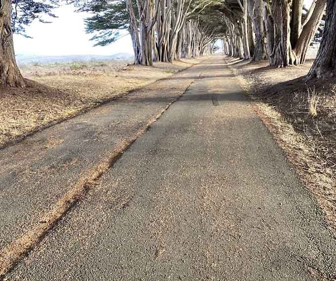 This pathway's seen more romantic proposals than a jewelry store on Valentine's Day, guaranteed.