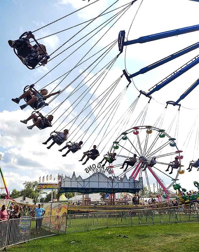 The swing ride launches you skyward, turning grown adults into giggling kids faster than you can say "centrifugal force."