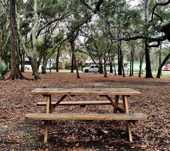 Picnic tables under ancient oaks, because sometimes the best restaurant has no walls and charges exactly zero dollars for ambiance.
