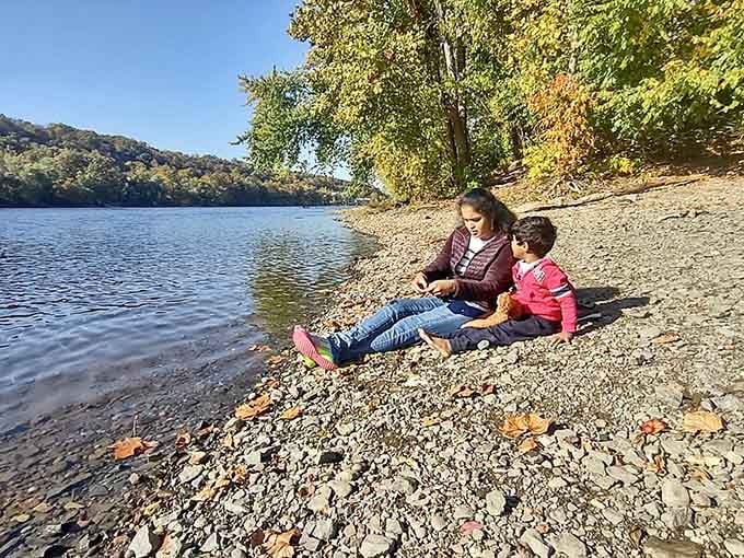 Find a rocky spot by the water and suddenly you're in a nature documentary, minus the dramatic narration.