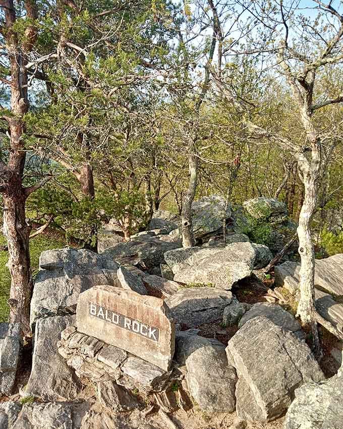 Bald Rock earned its name honestly, these ancient stones have been here longer than any of us can imagine.