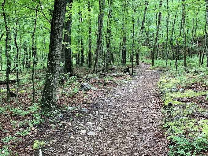 Forest trails carpeted in leaves invite you to wander and forget what day of the week it is.