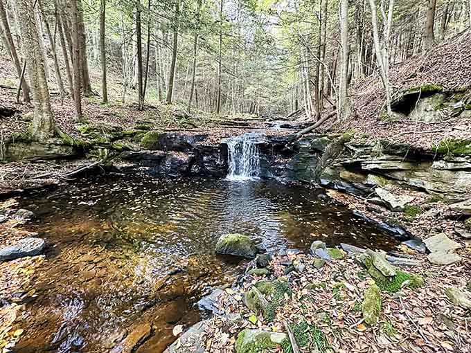 A hidden waterfall that requires actual walking to reach&mdash;nature's way of earning your Instagram photo the old-fashioned way.