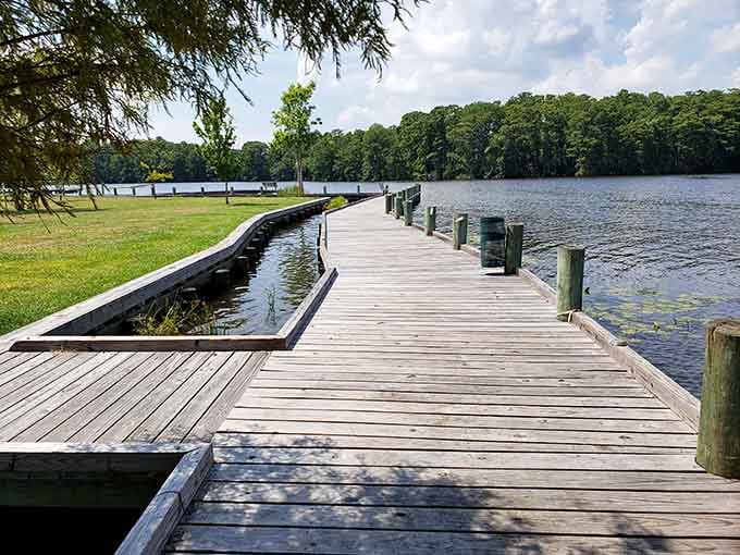 Pembroke Creek Park's dock stretches into water so calm it makes meditation apps look hyperactive.