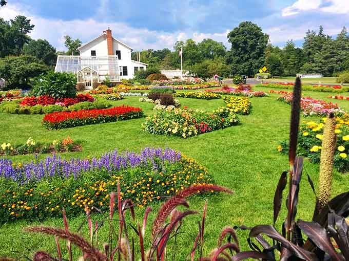 Geometric flower beds arranged with the precision of a conductor organizing a floral symphony.