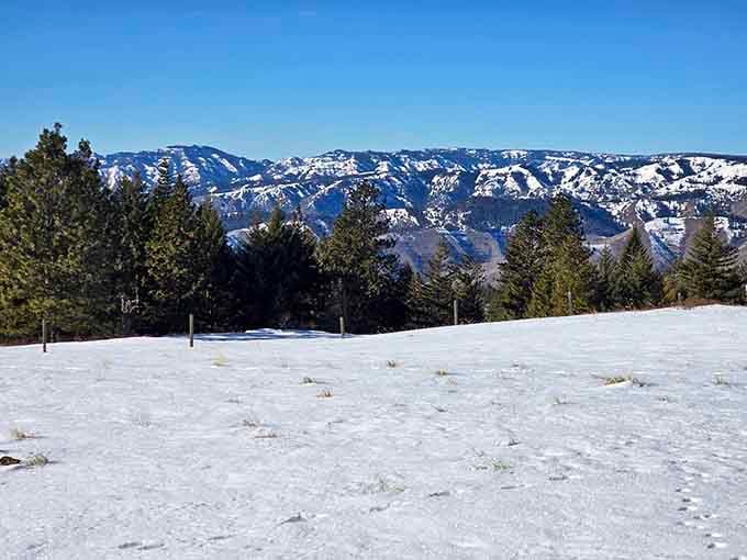 Winter transforms the park into a snow globe you can actually walk through without freezing instantly.