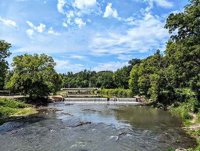 Yellow Creek flows peacefully, offering nature's soundtrack without requiring a subscription service or premium membership to enjoy.