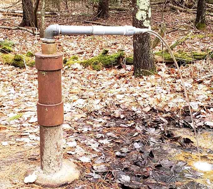 The water pump system: rustic, charming, and a great reminder that indoor plumbing was humanity's best invention.