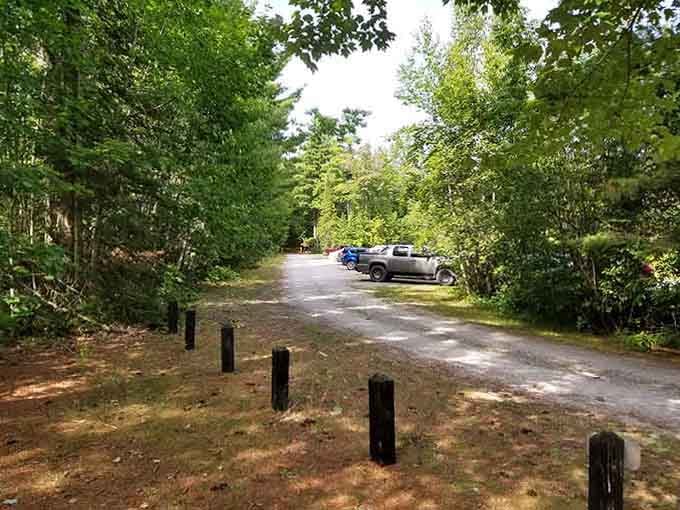 The rustic parking area serves as your gateway to wilderness, where luxury cars learn humility from gravel roads.