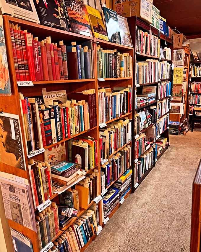 Bibliophiles rejoice: rows of vintage books offer adventures your Kindle could never quite capture with the same charm.
