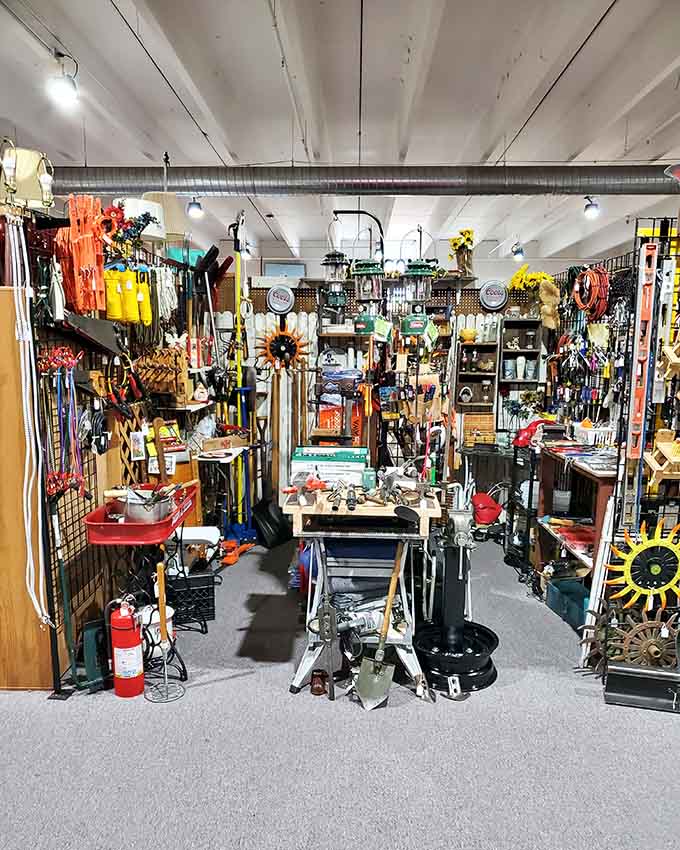 Garden tools and colorful finds create a visual feast that Martha Stewart would absolutely approve of.